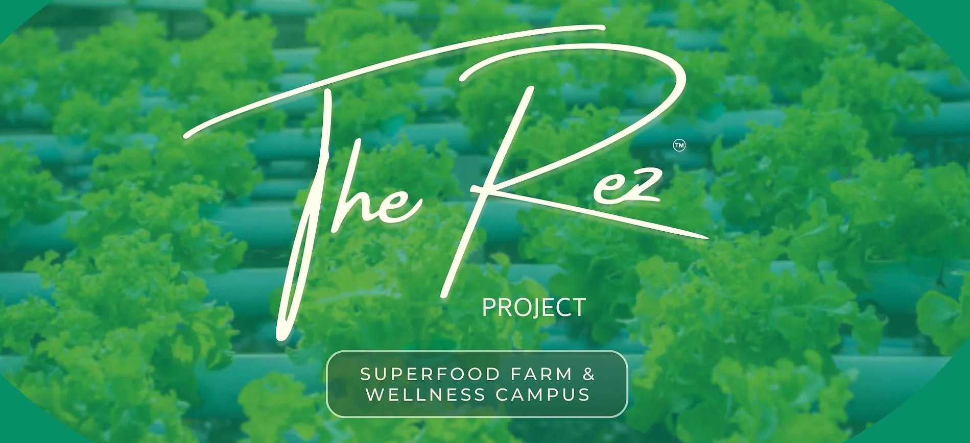 SaaS Landing – The Rez Project